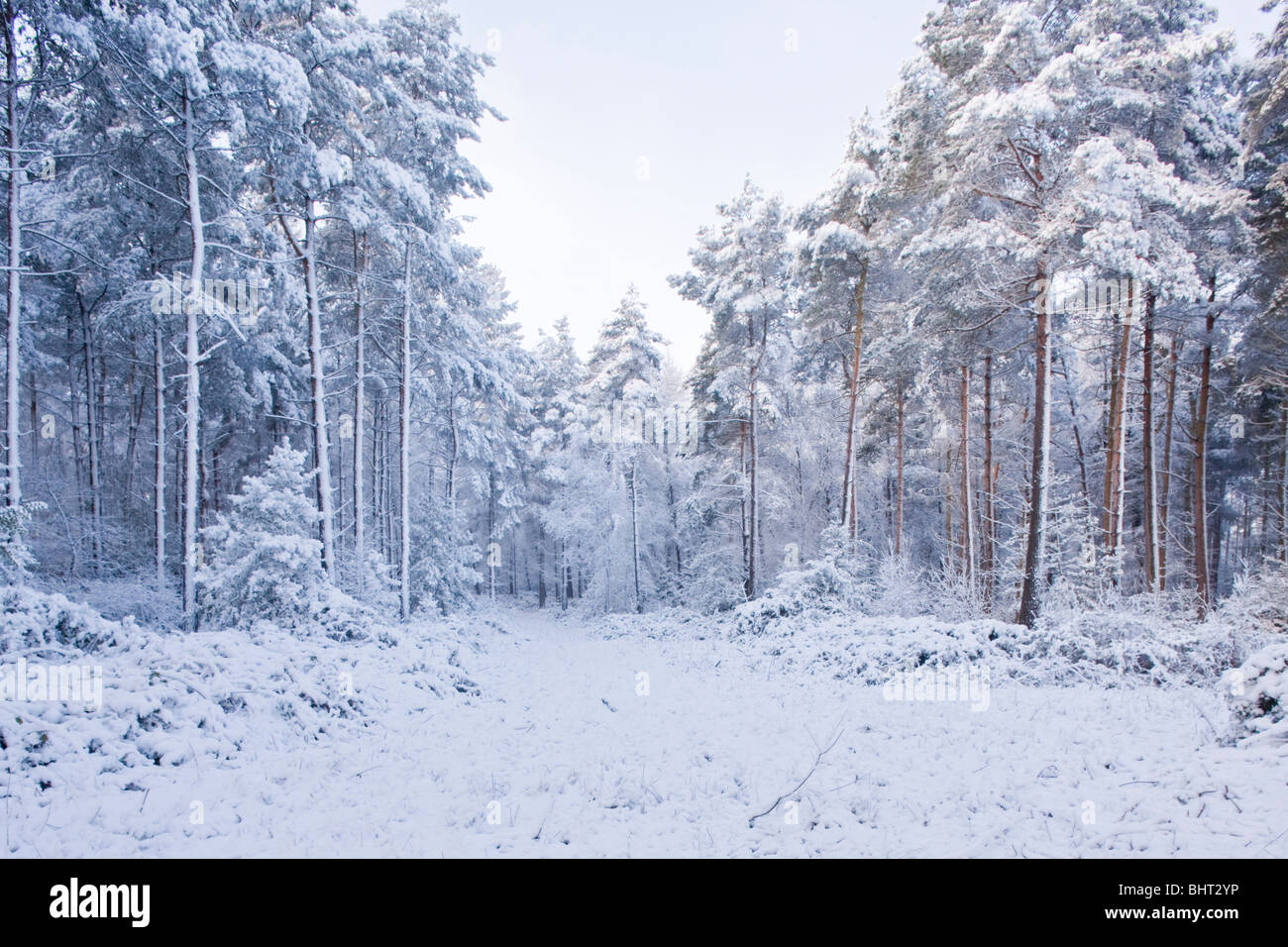 Leicestershire scene snow hi-res stock photography and images - Alamy
