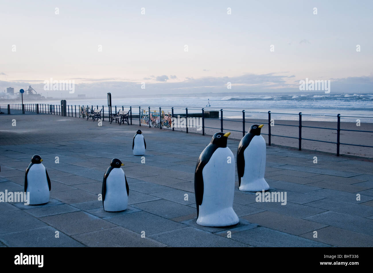 Redcar penguins hi-res stock photography and images - Alamy