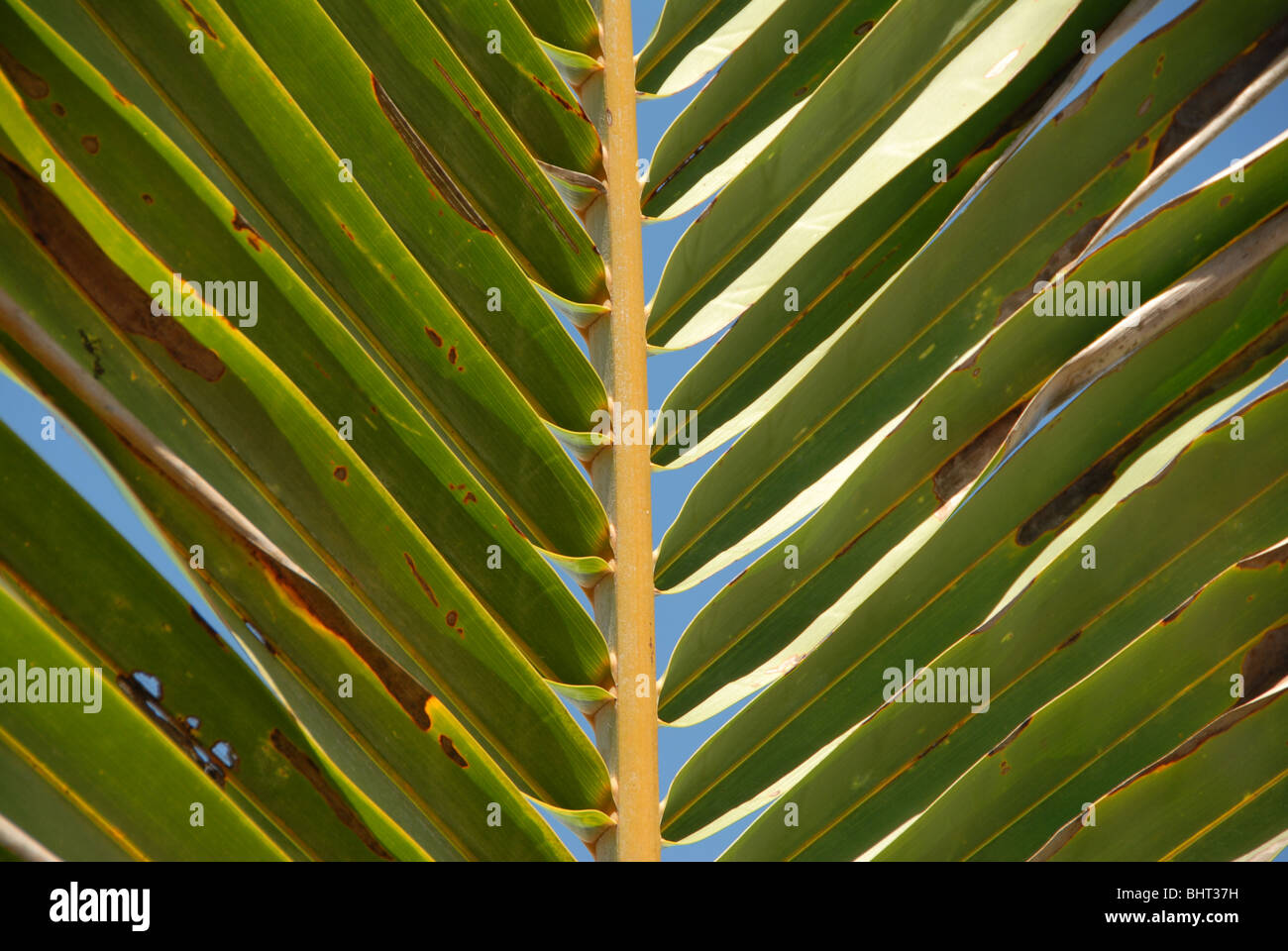 Dominican Republic Reportage, street life and portrait of people and ...