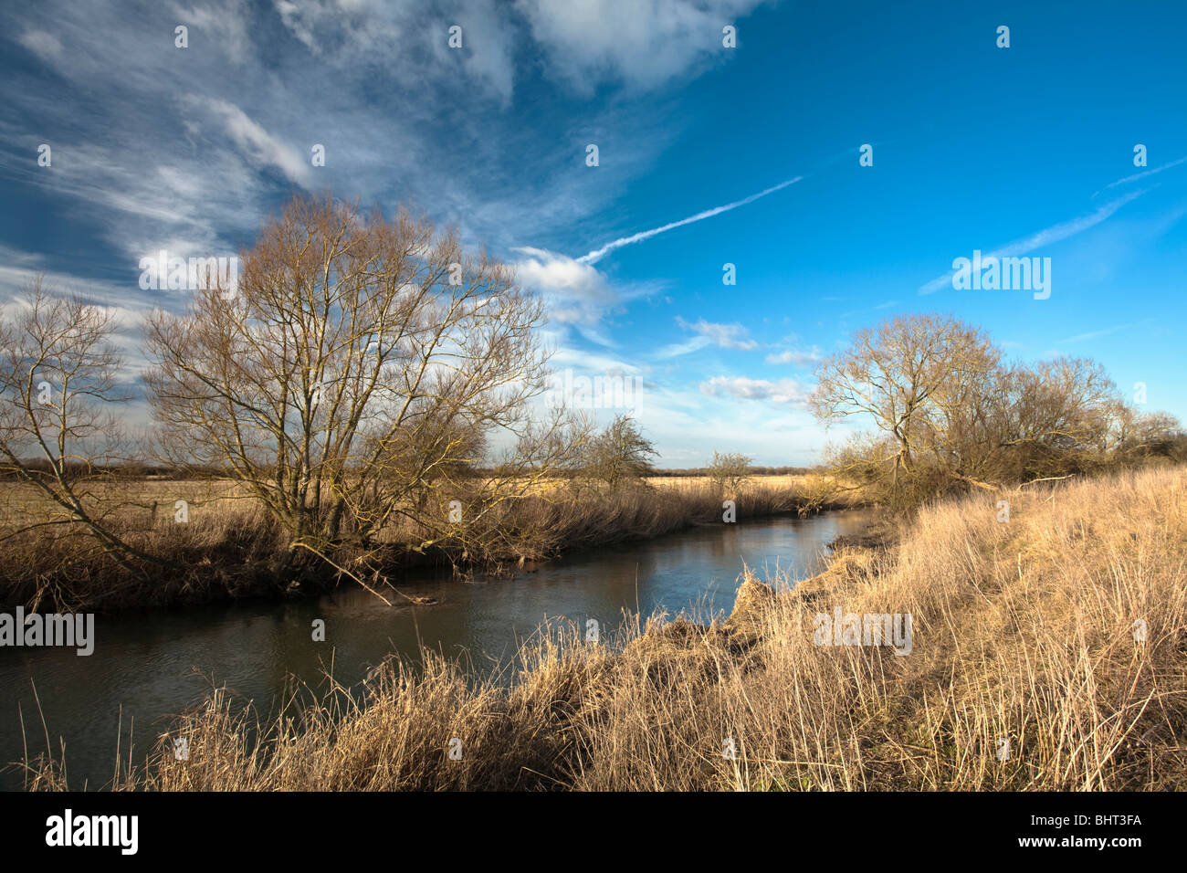 Upper reaches of the River Thames near Cricklade, Wiltshire, Uk Stock ...