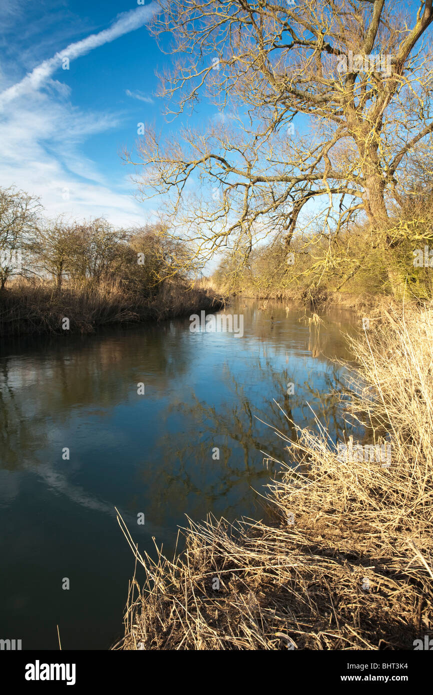 Upper reaches of the River Thames near Cricklade, Wiltshire, Uk Stock ...
