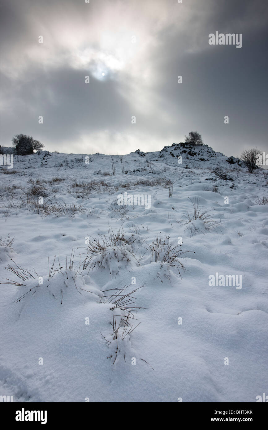 Winters landscape, snow covering the ground and on trees at Sharpley ...