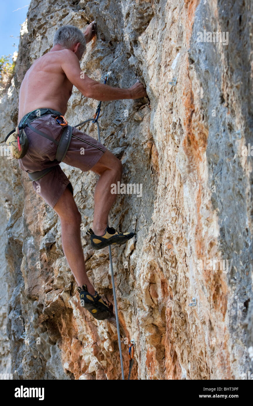 Bellus hi-res stock photography and images - Alamy