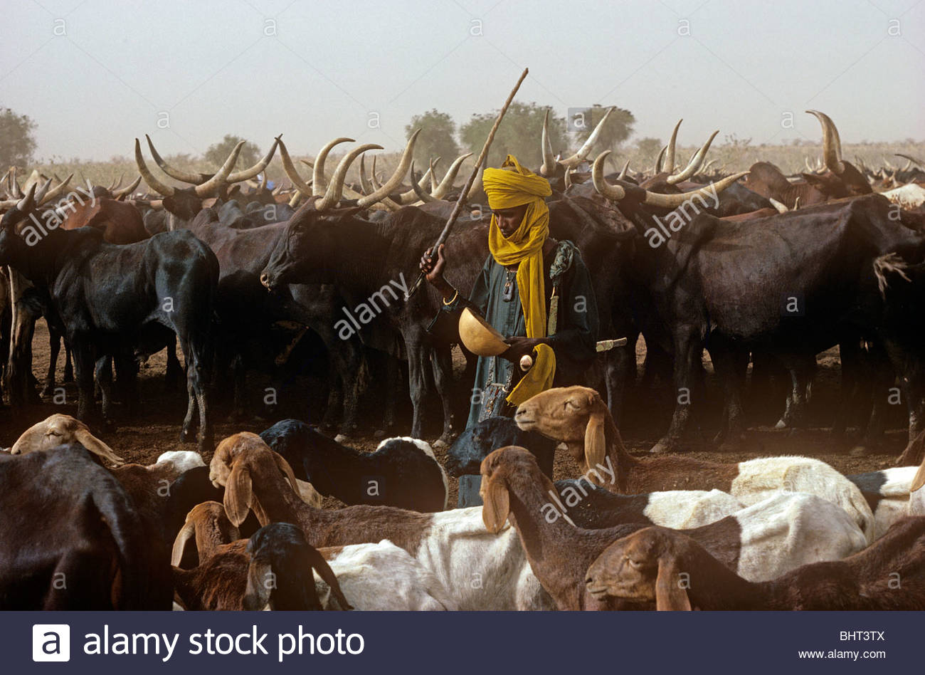 Wodaabe Nomad Stock Photos & Wodaabe Nomad Stock Images - Alamy