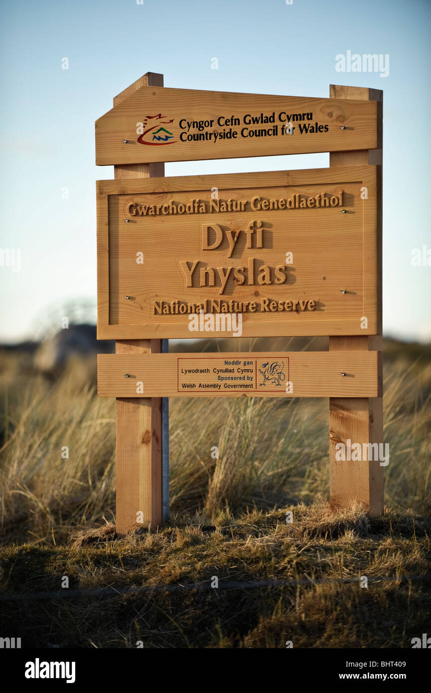 Dyfi Ynyslas national nature reserve, near Borth, Ceredigion, Wales UK ...