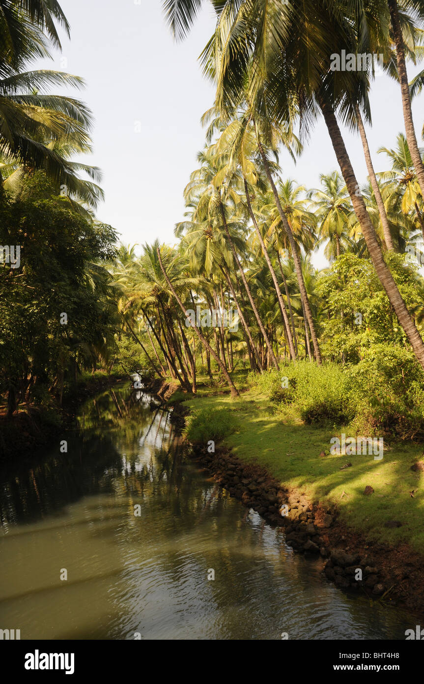A beachside river in Goa, India Stock Photo - Alamy