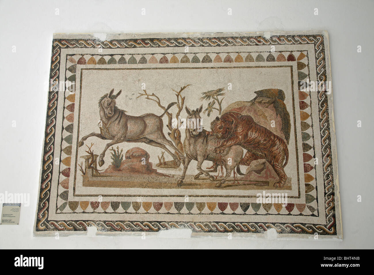 Roman mosaics of a Tiger eating a horse at the Archeology Museum at El ...