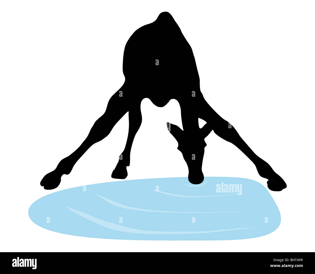 Drink giraffe Cut Out Stock Images & Pictures - Alamy