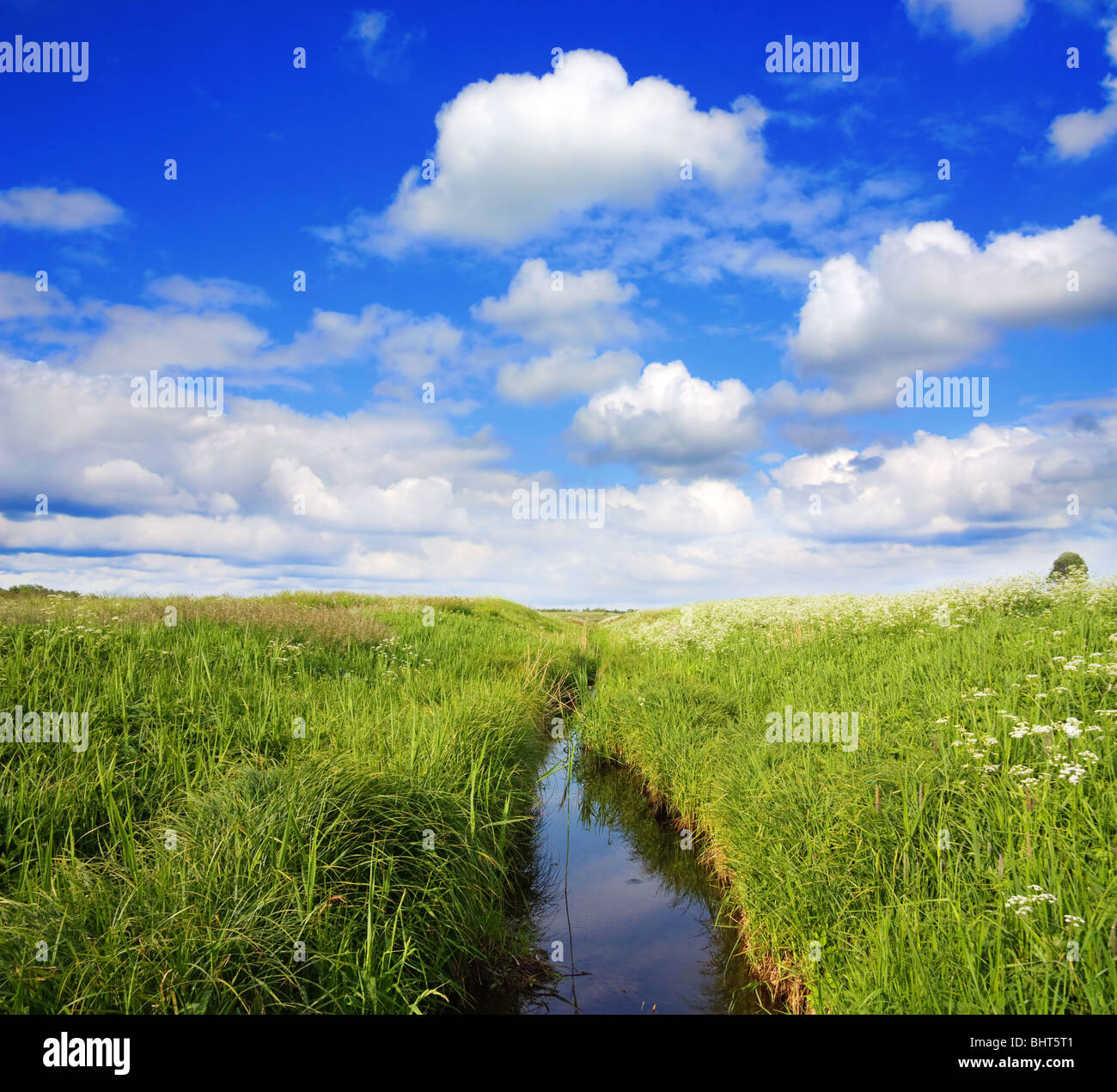 summer landscape, canal Stock Photo - Alamy
