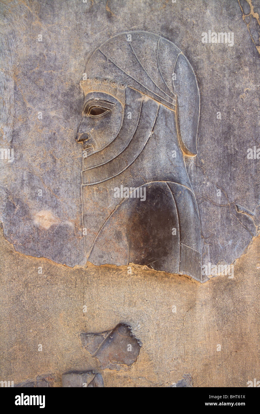 Persepolis Guards Relief High Resolution Stock Photography and Images ...