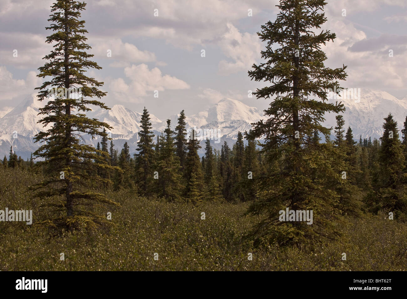 An Alaskan Scenic view Stock Photo - Alamy
