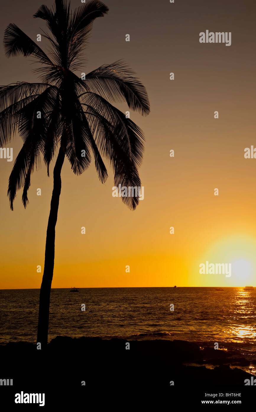 Climat equatorial hi-res stock photography and images - Alamy