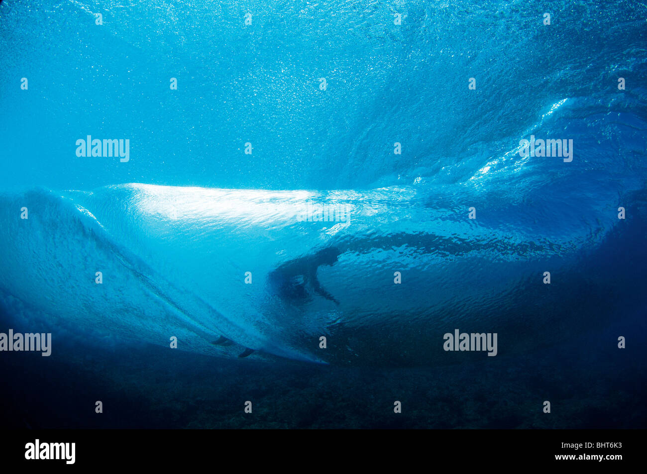 Underwater Extreme Close Up High Resolution Stock Photography and ...