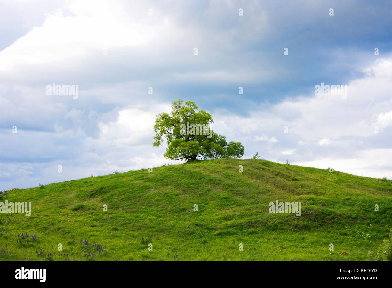 Greenfield farm hi-res stock photography and images - Alamy
