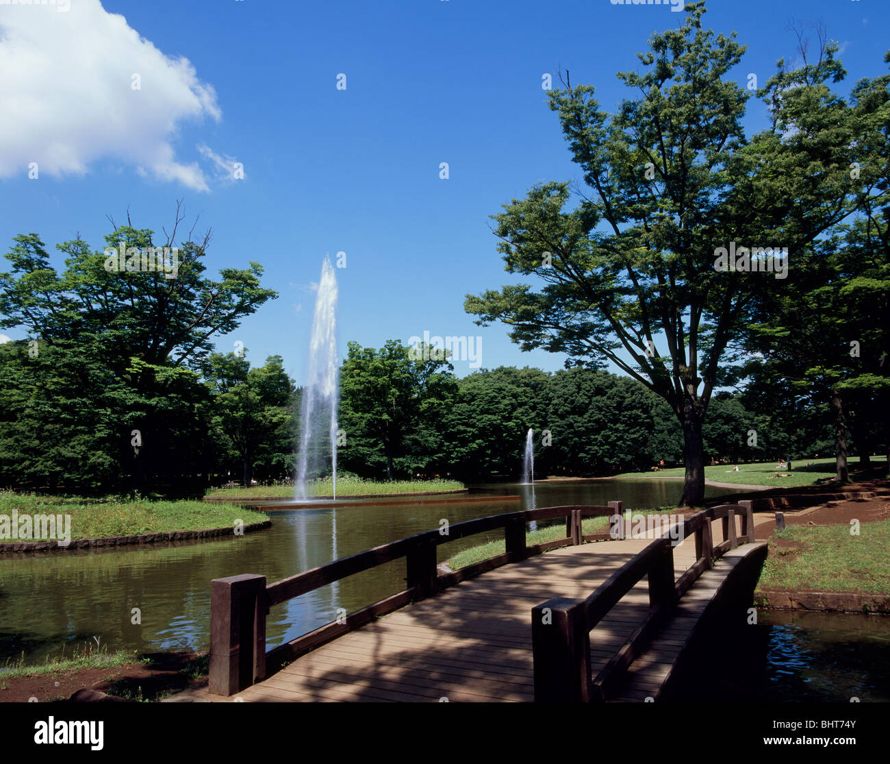Yoyogi Park, Shibuya, Tokyo, Japan Stock Photo - Alamy