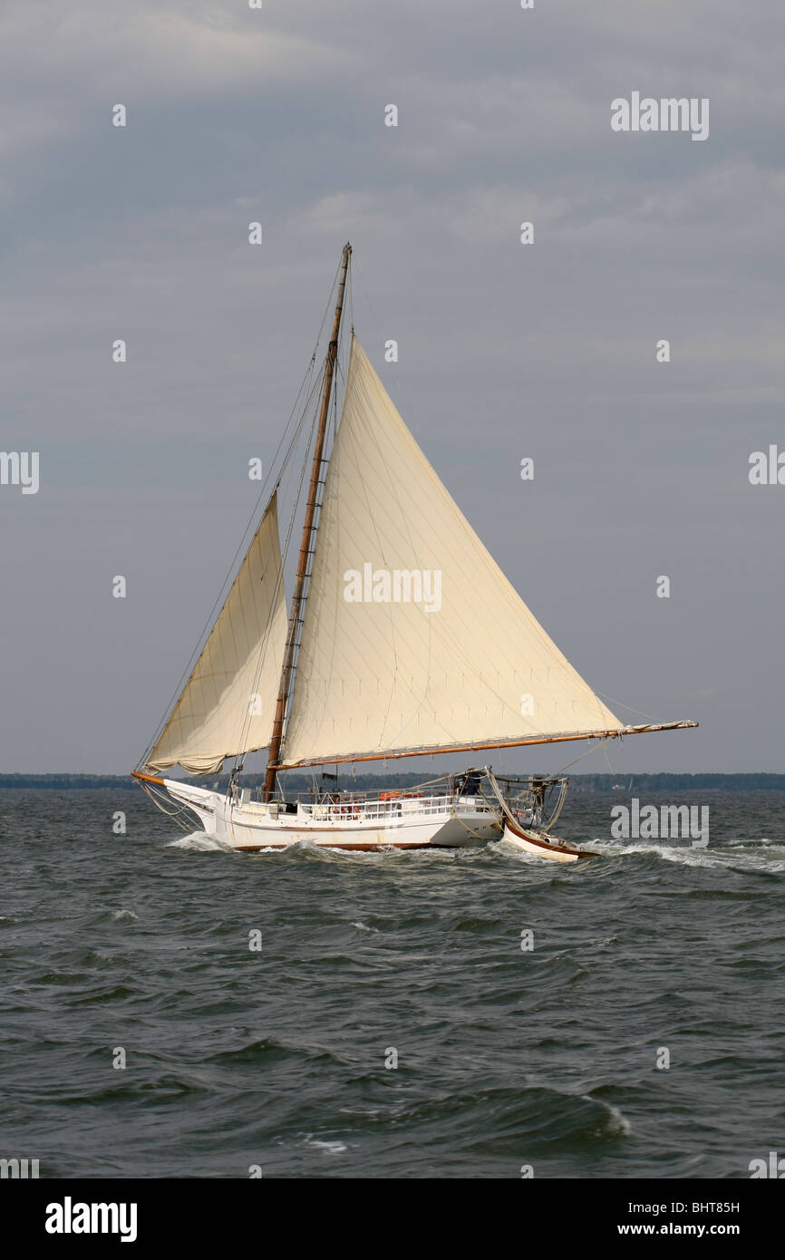 Reefed skipjack hi-res stock photography and images - Alamy