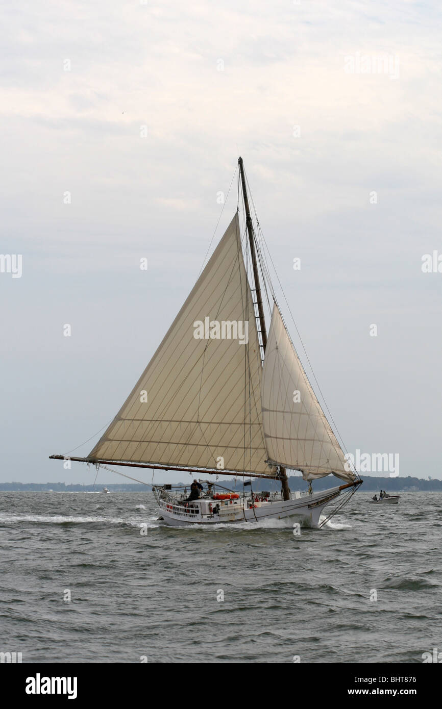 Reefed skipjack hi-res stock photography and images - Alamy