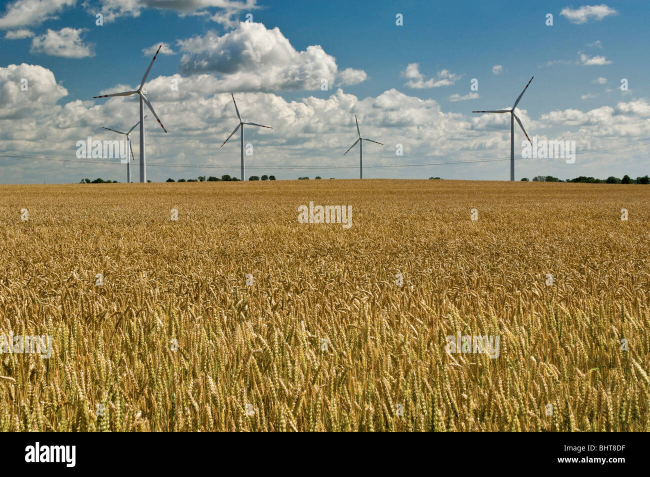 Wind turbines at field of grain near village of Koniecwałd near Sztum ...