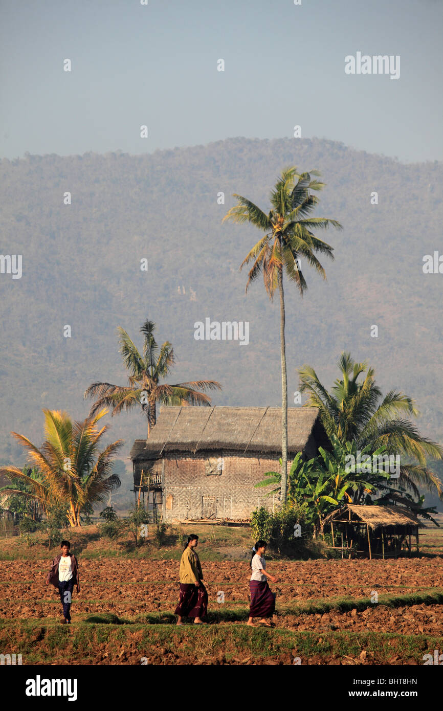 Myanmar, Burma, Inle Lake, fields, rural house, people, Shan State ...