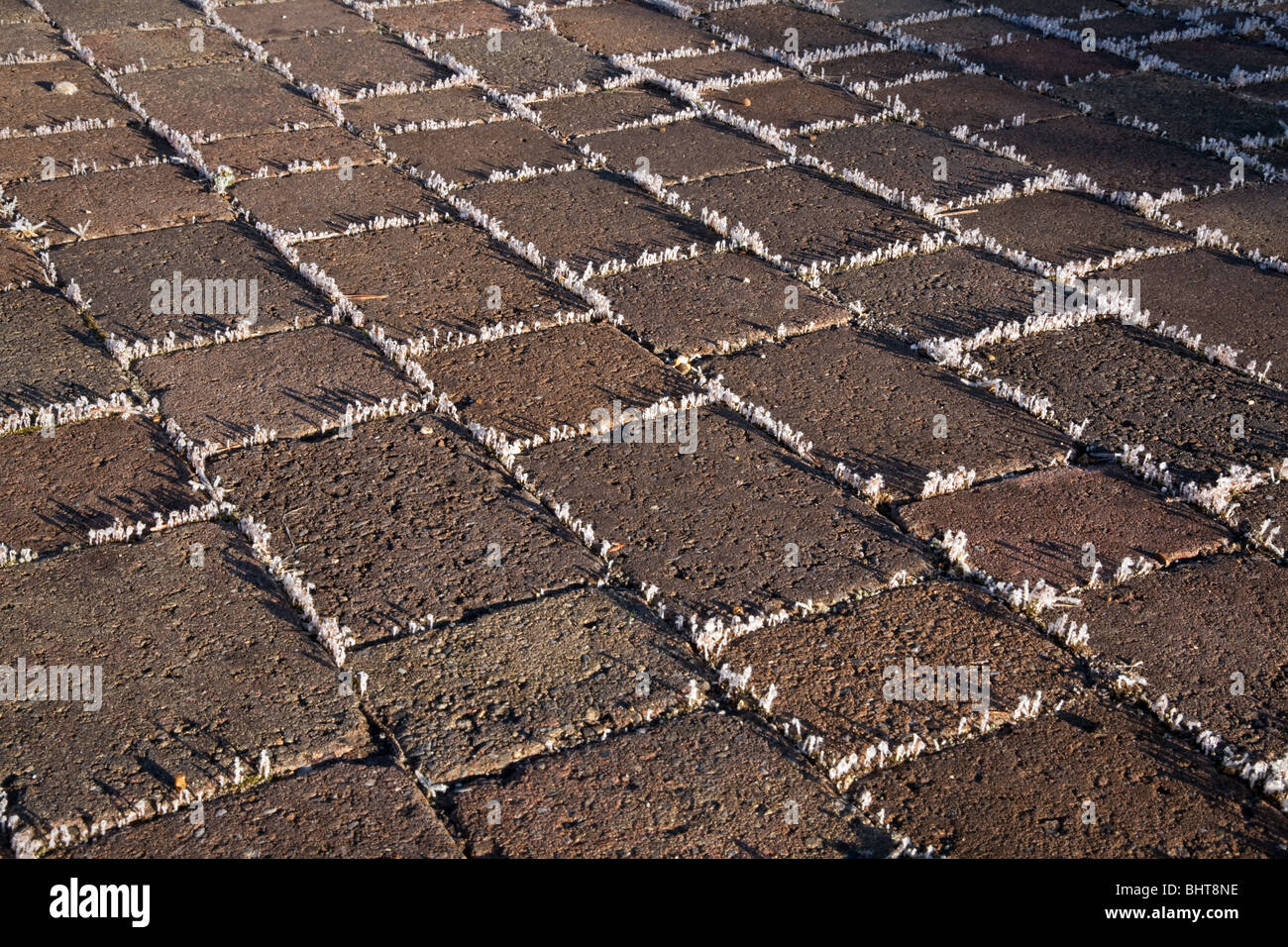Shadow bricks hi-res stock photography and images - Alamy