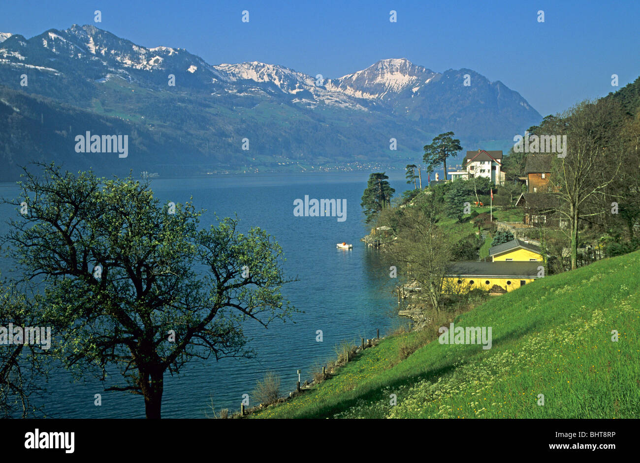 Lake Lucerne near Gersau, Switzerland Stock Photo - Alamy