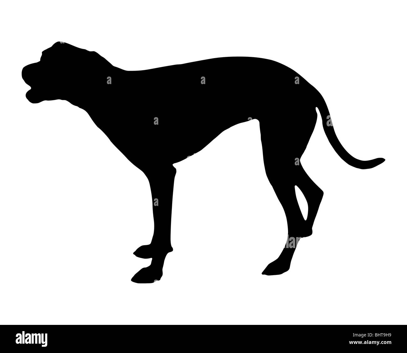 Dog silhouette bark hi-res stock photography and images - Alamy