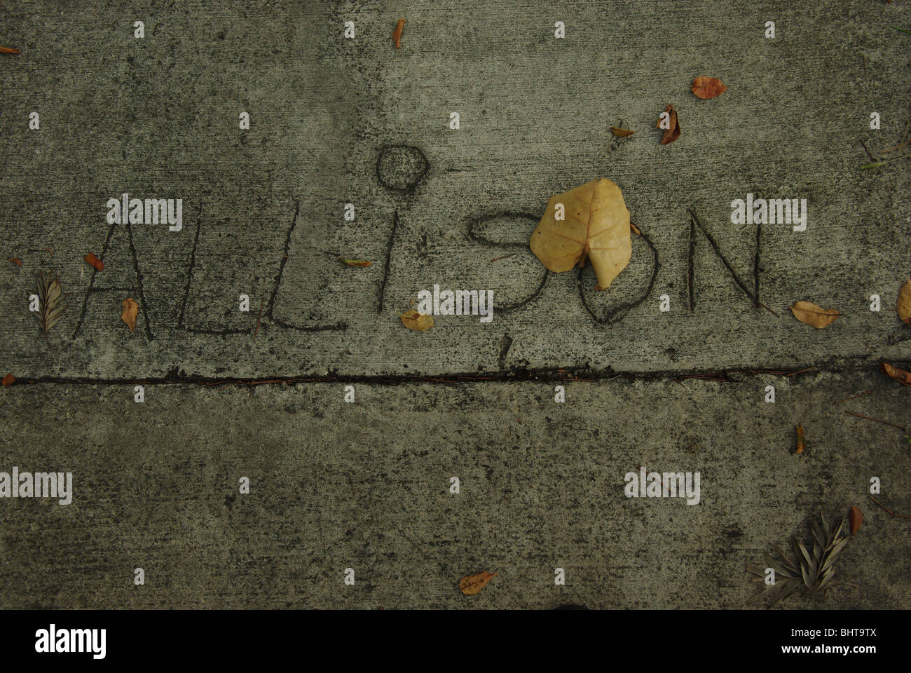 Allison name hi-res stock photography and images - Alamy