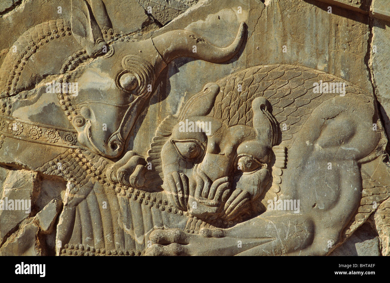 Bas relief figures at the Apadana Palace, Persepolis, Iran Stock Photo ...