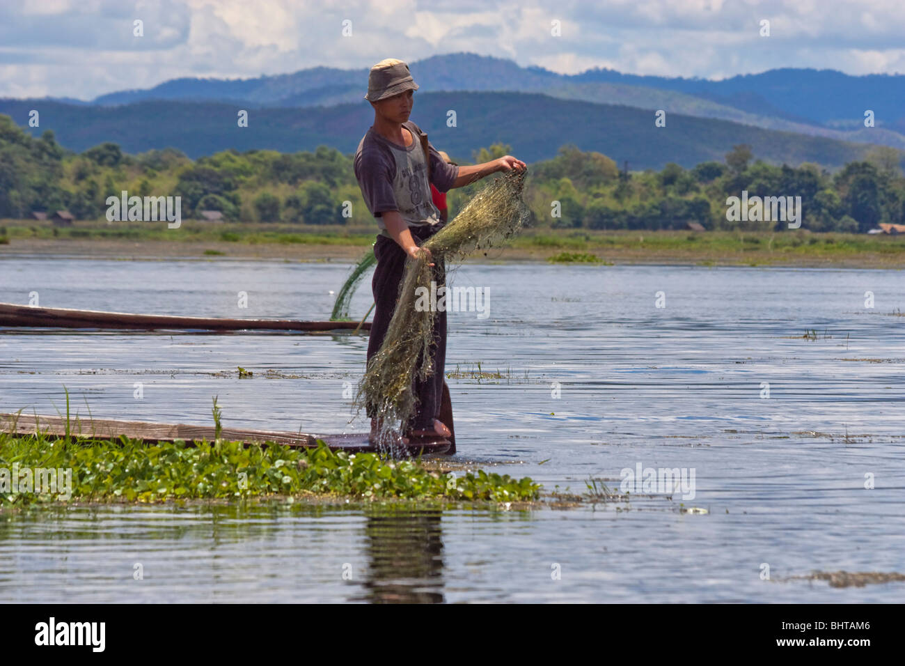 Freshwater fish of myanmar hi-res stock photography and images - Alamy
