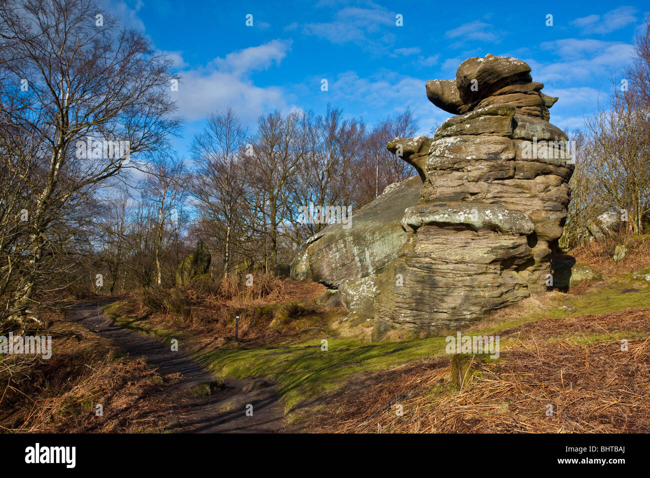 Bear Rock Formation High Resolution Stock Photography and Images - Alamy