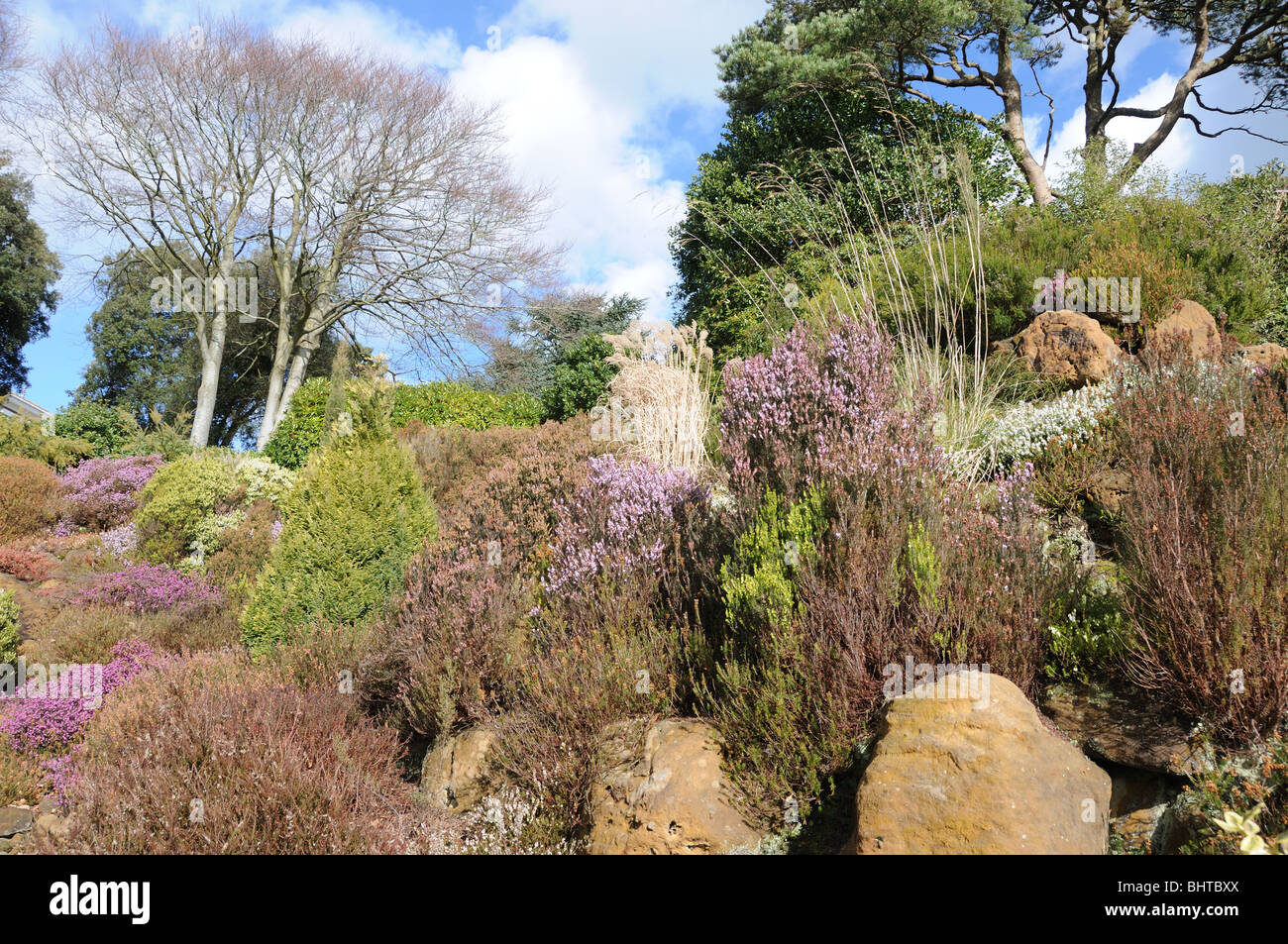 Heather garden hi-res stock photography and images - Alamy