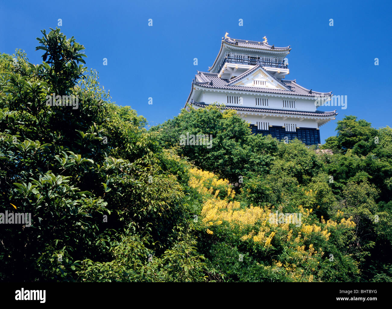 Gifu Castle, Gifu, Gifu, Japan Stock Photo - Alamy