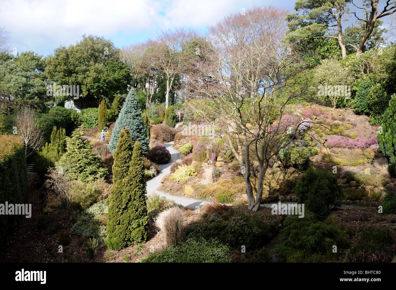 Heather garden hi-res stock photography and images - Alamy