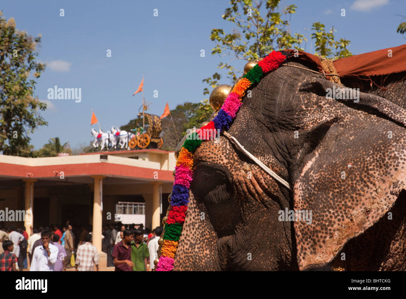 Parthasarathy High Resolution Stock Photography and Images - Alamy