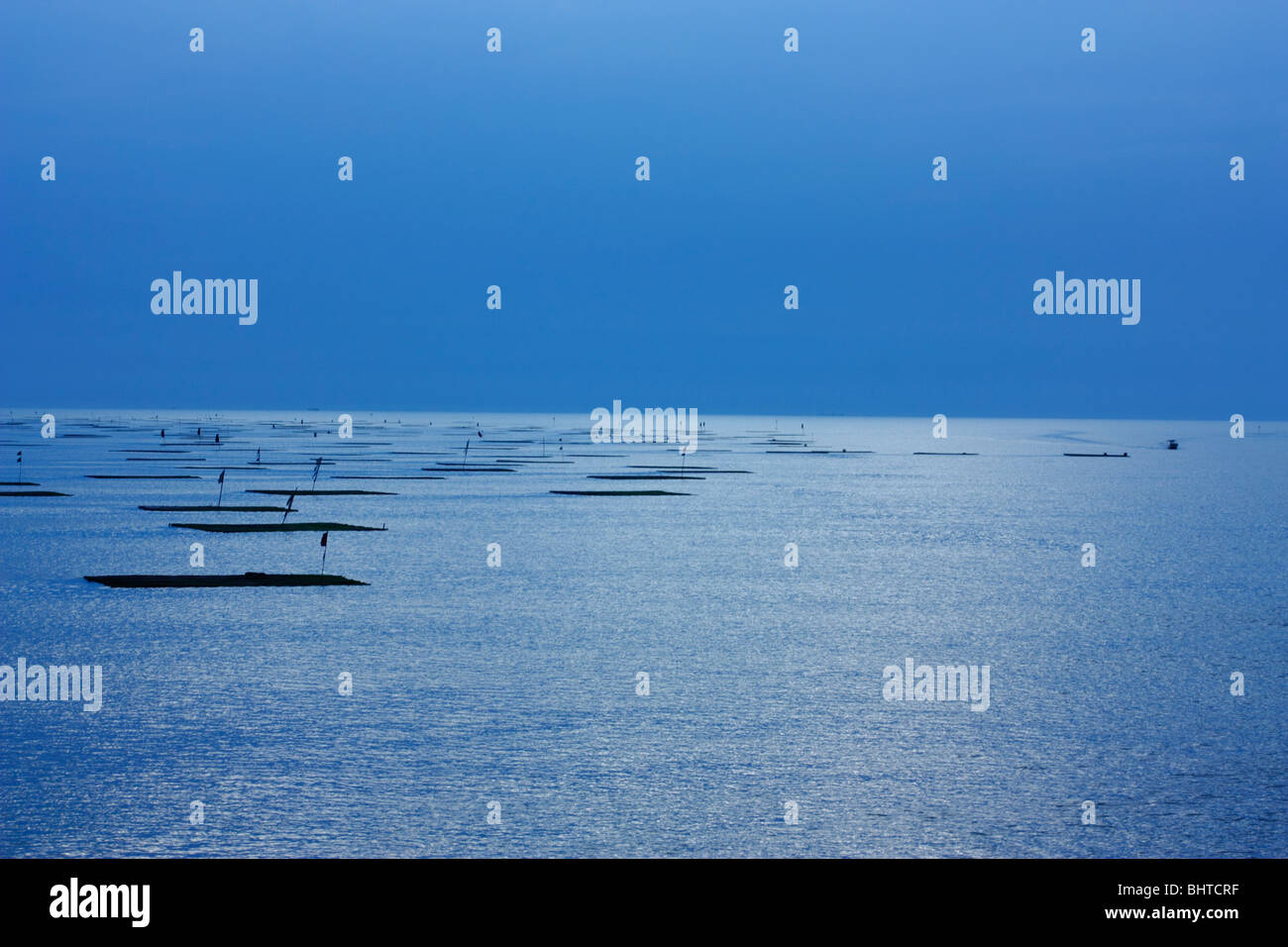 A boat navigates through oyster beds outside AnPing Harbor. Tainan ...