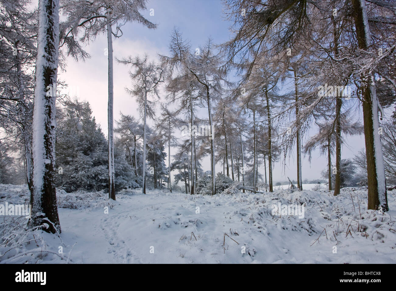 Uk snow pure white hi-res stock photography and images - Alamy