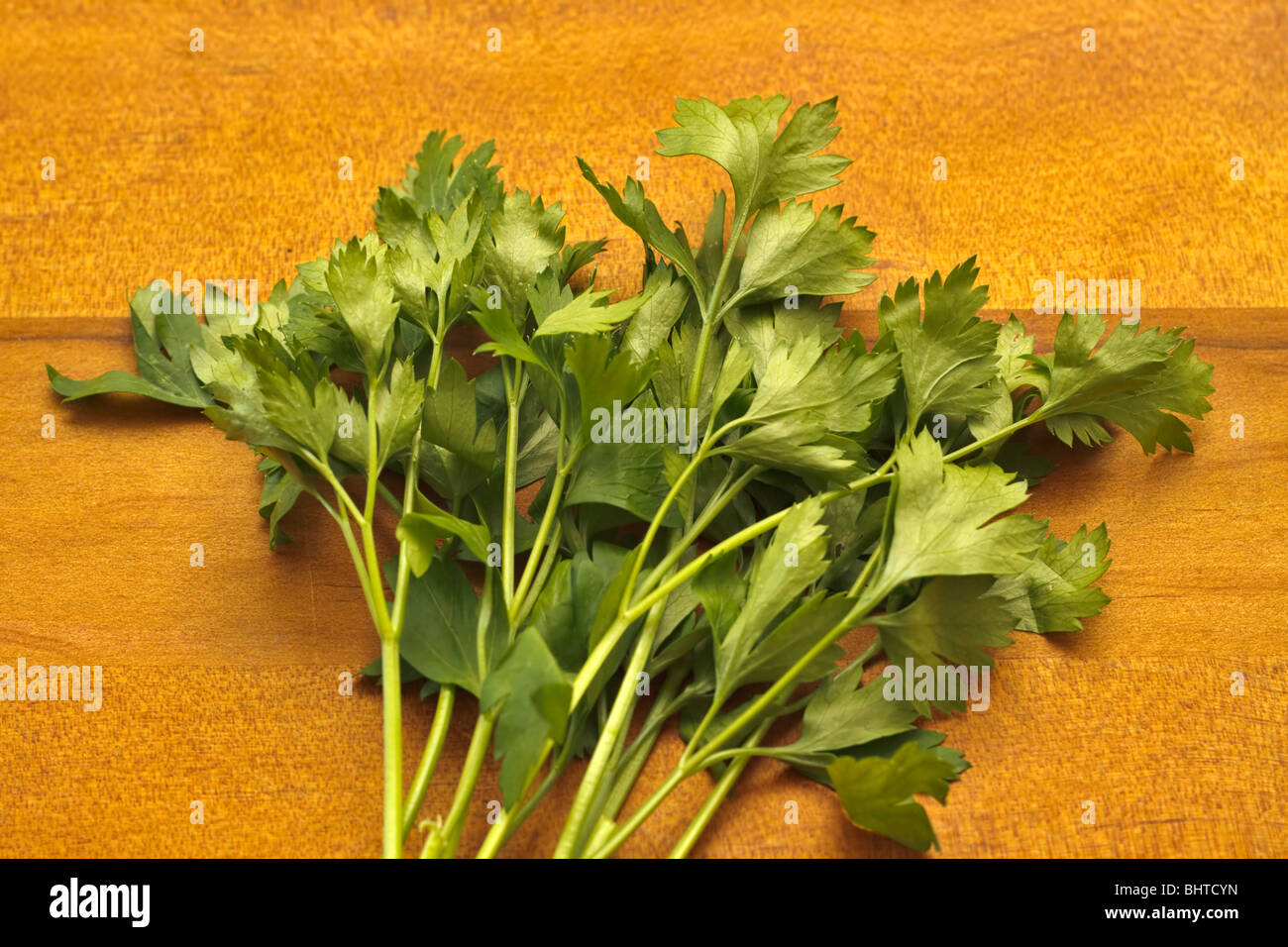 Flat leaf parsley Stock Photo - Alamy