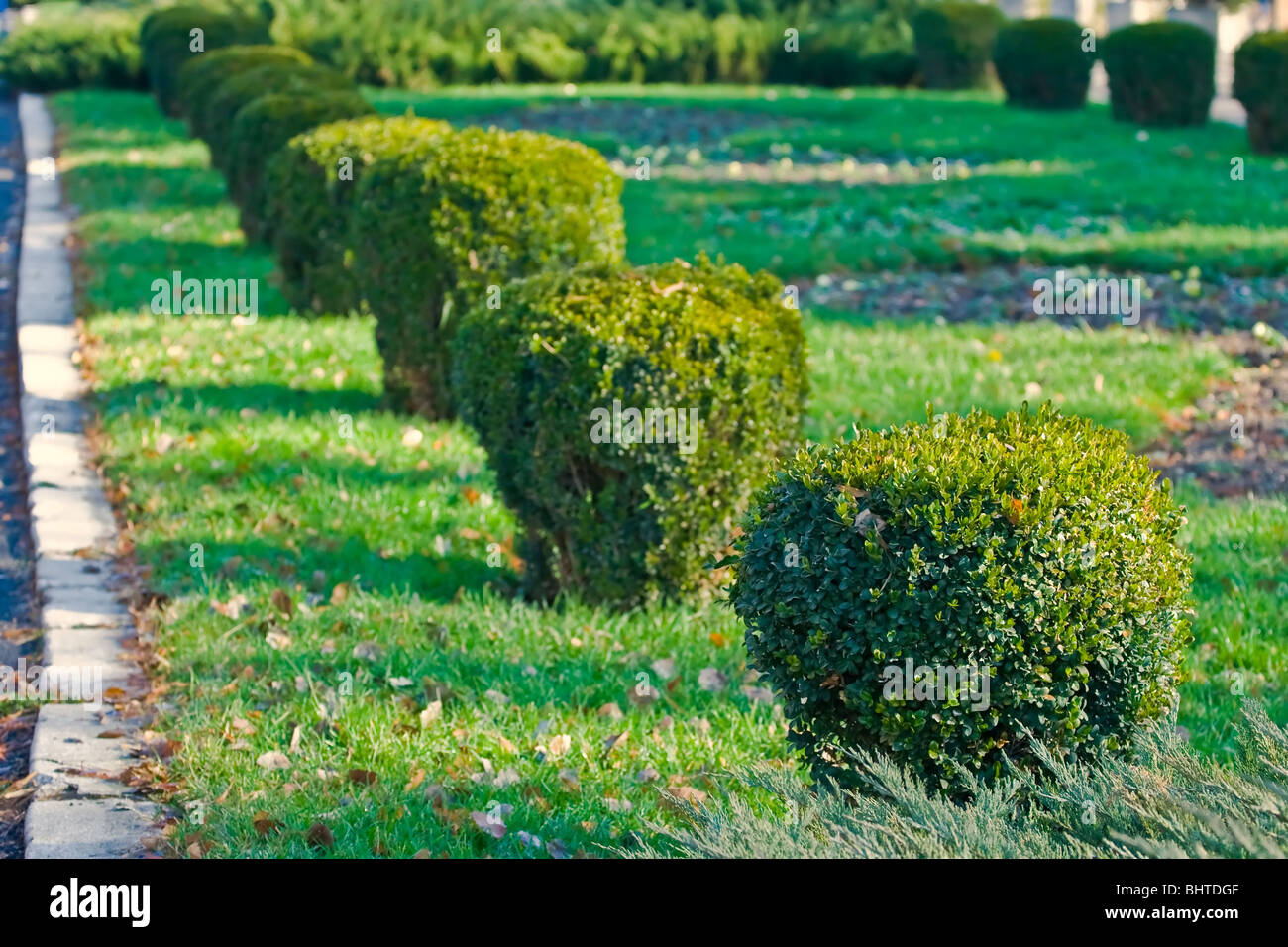 Row of bushes hi-res stock photography and images - Alamy