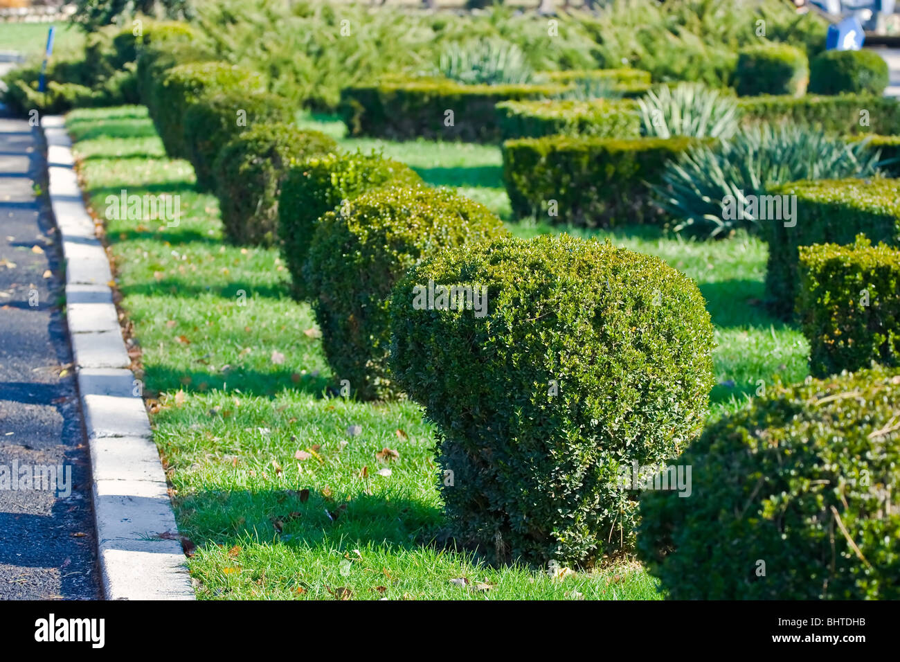 Row of bushes hi-res stock photography and images - Alamy
