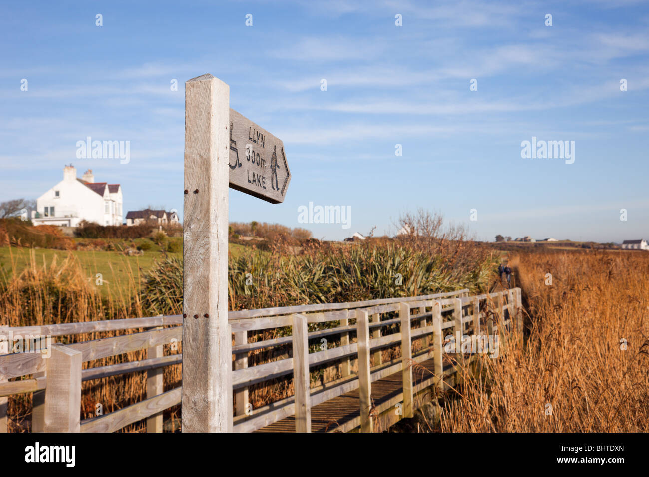 Wooden footpath sign and wheelchair friendly boardwalk through reeds ...