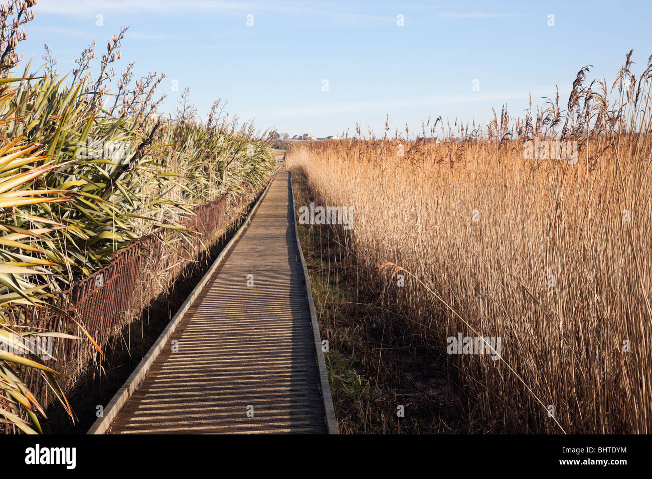Llyn Maelog lake, Rhosneigr, Isle of Anglesey, North Wales, UK. Wooden ...