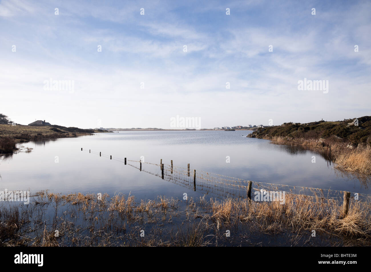 View across nutrient rich freshwater Llyn Maelog lake Rhosneigr, Isle ...