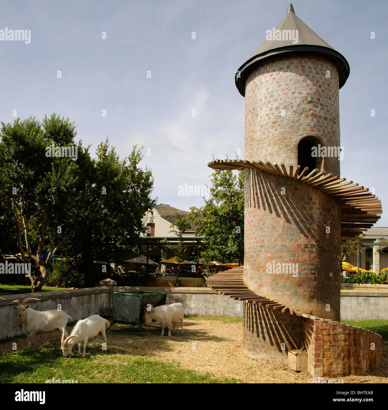 Goats and the goat tower at Fairview Wine Estate winery close to Paarl ...