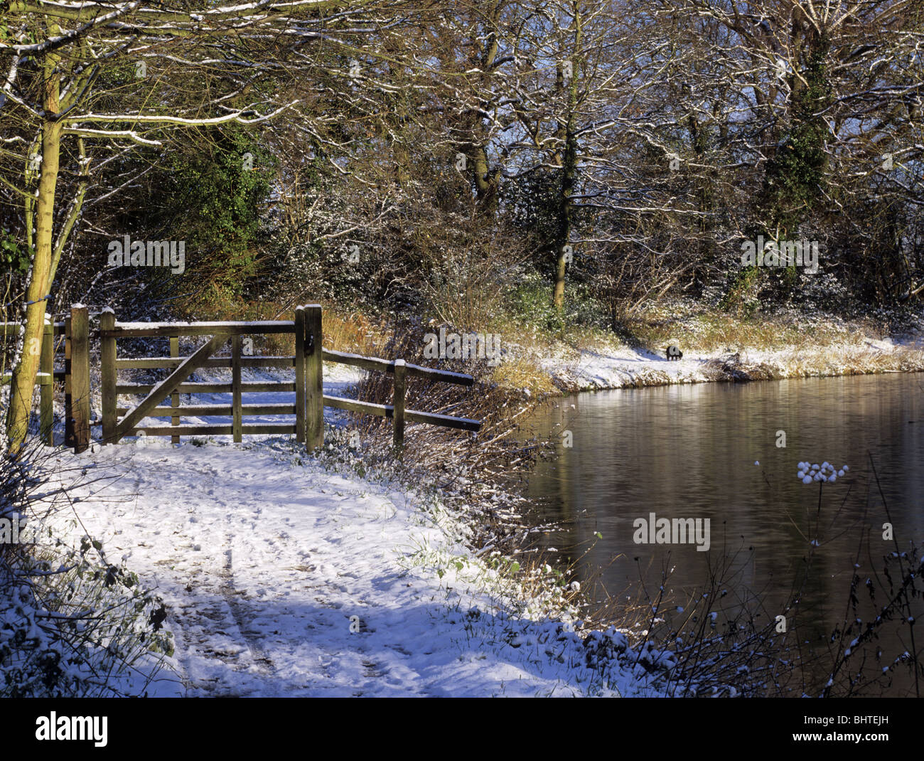 Snow on on towpath with a gate on the Basingstoke Canal at Winchfield ...