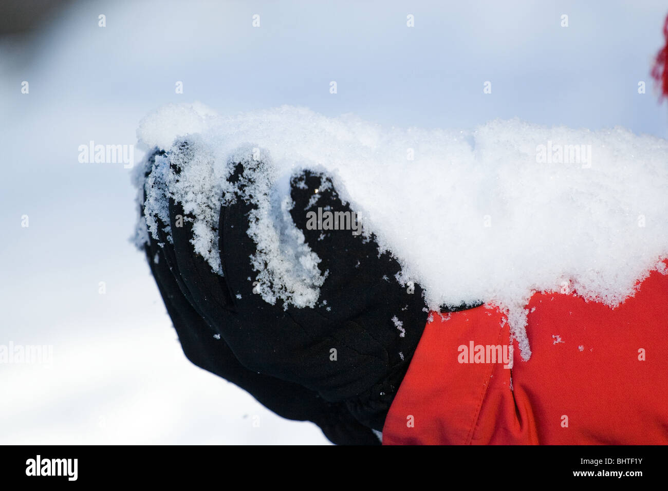 Woman's hands holding snow Stock Photo - Alamy
