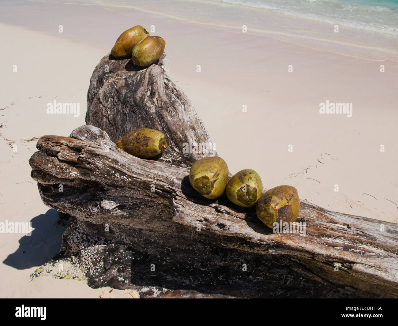 Sale of coconuts hi-res stock photography and images - Alamy