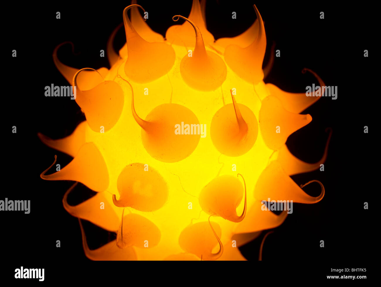 Dara kushner hi-res stock photography and images - Alamy