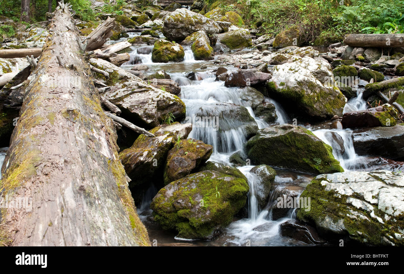 Landscape with rapid river and fallen tree Stock Photo - Alamy