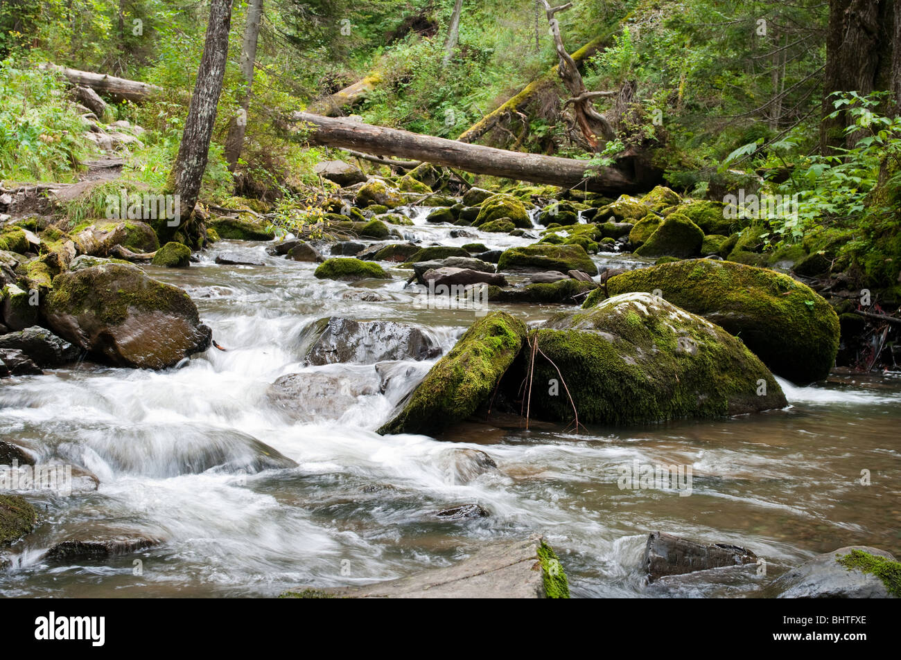 Landscape with rapid river and fallen tree Stock Photo - Alamy