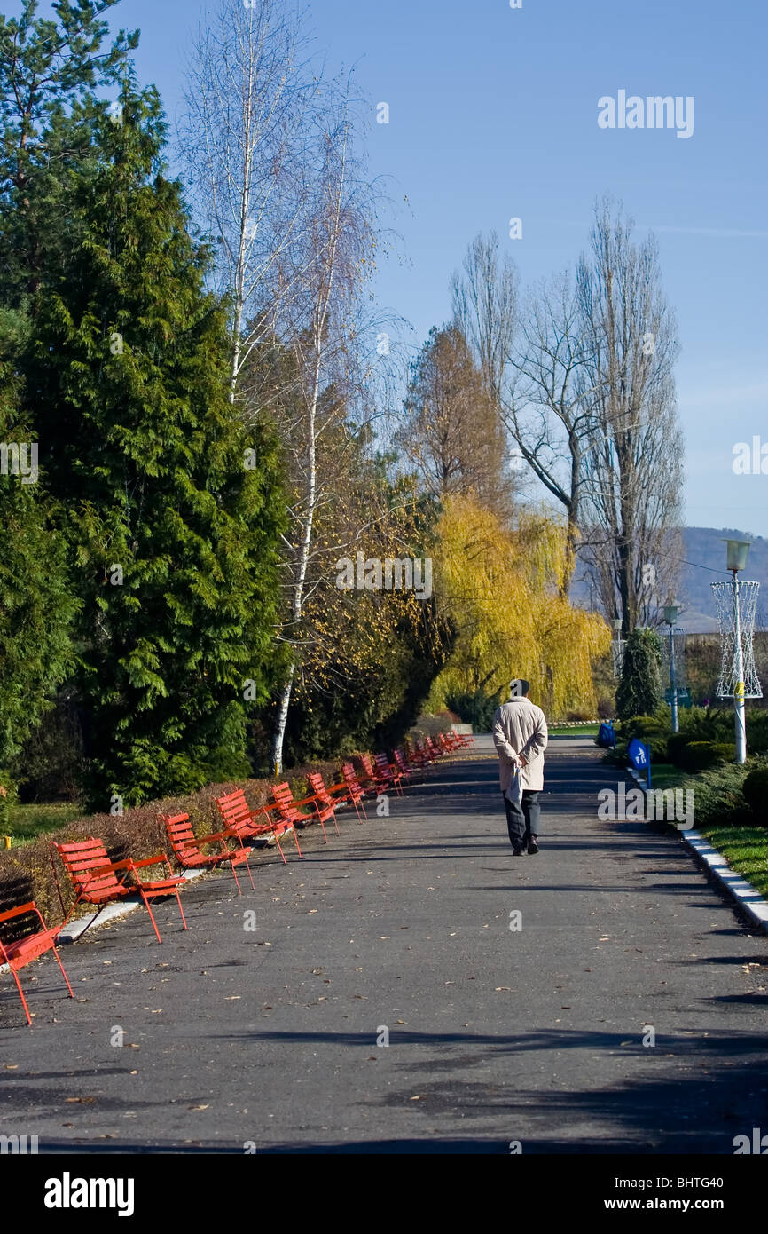 Old man walking alone in a park hi-res stock photography and images - Alamy